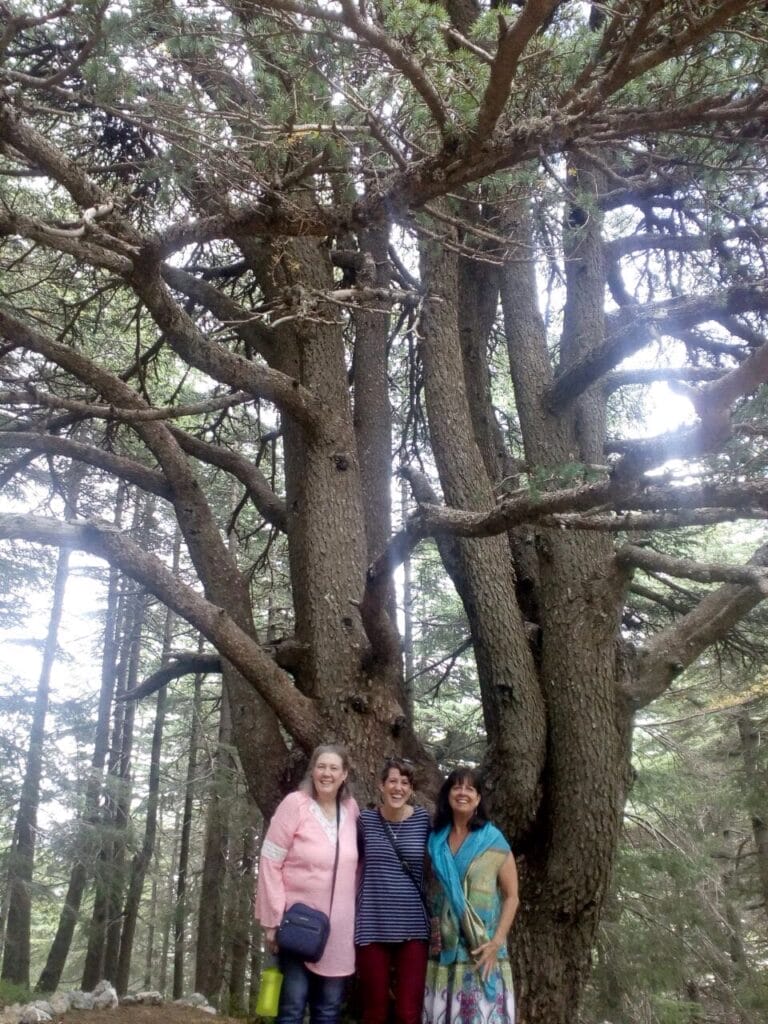 How Resilient are you? - Women In The Window International